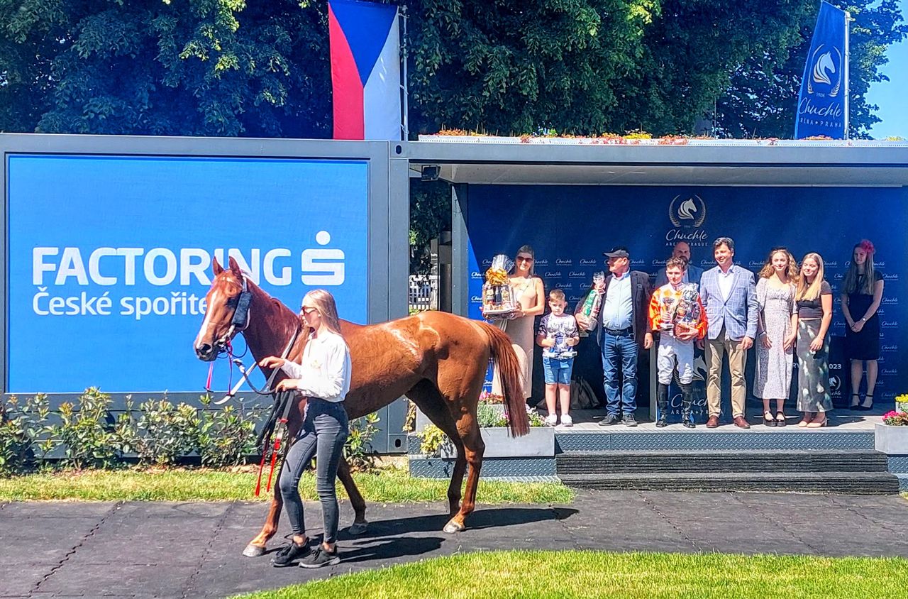 Cenu Factoringu České spořitelny vyhrál ryzák Bunamboo| Factoring České ...