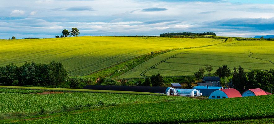 Zemědělství v Česku: Blýská se na lepší časy? | Česká spořitelna