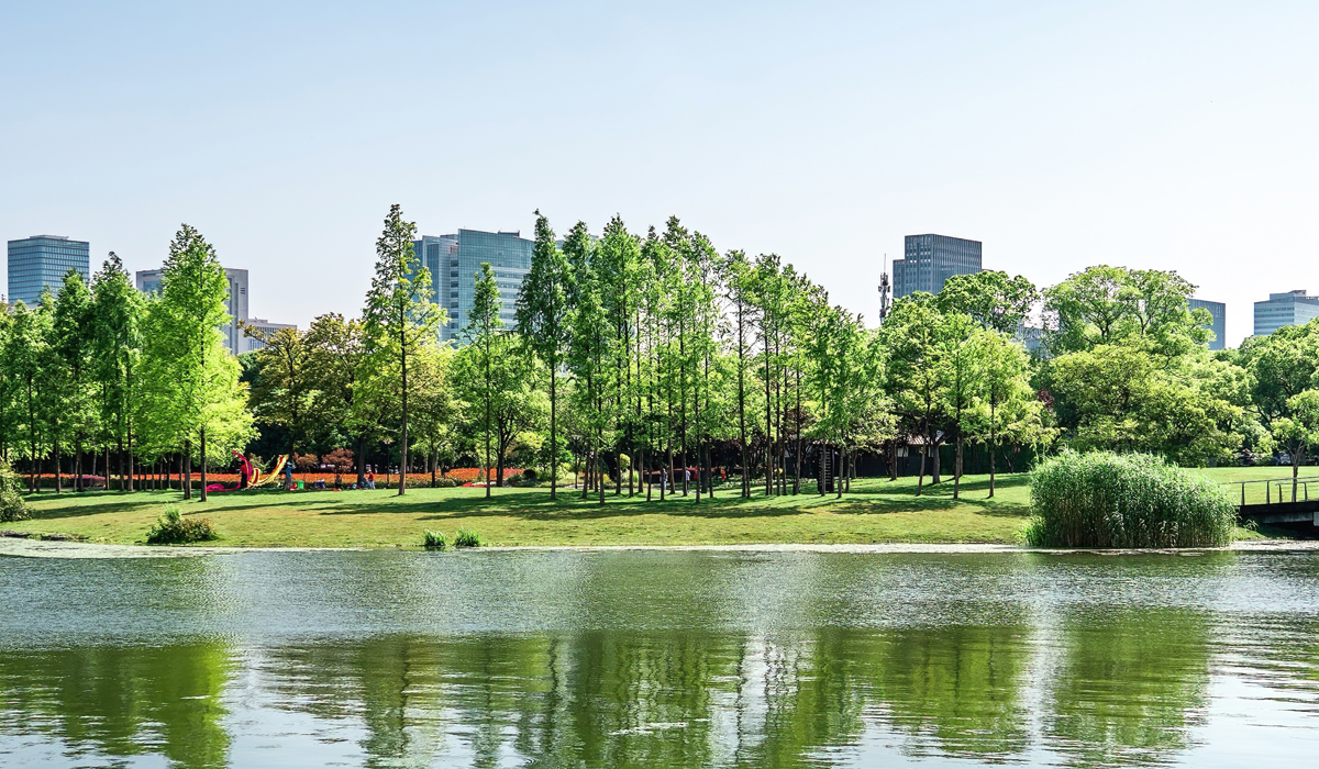 Jak můžou specializované nástroje pomáhat firmám a podnikatelům k ...