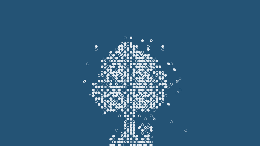 Ako to funguje | Seed Starter Slovenskej sporiteľne